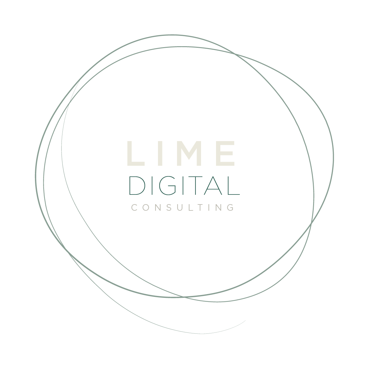 Lime Digital Consulting | Get in touch with us today